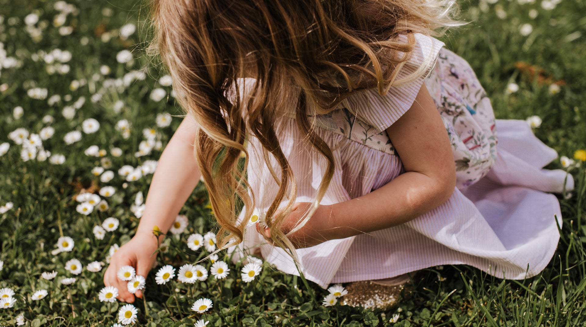 Artworks Collections – Fleur Harris